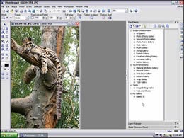 Descargar photoimpact 12 gratis - ascseindo