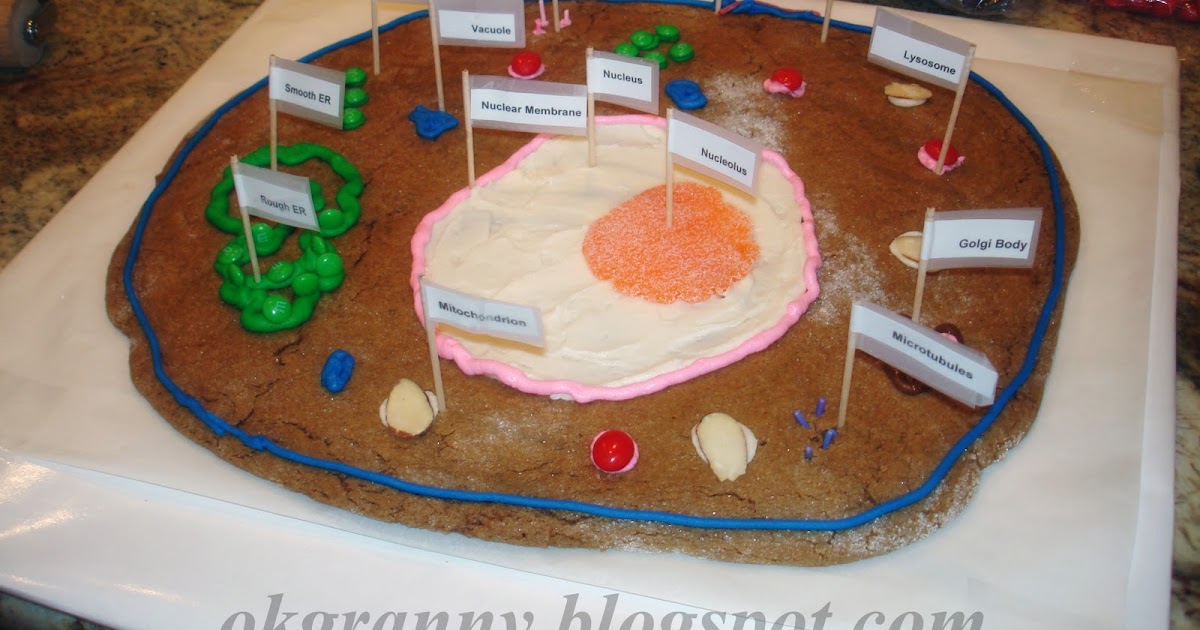 Non Edible Plant Cell Model Project