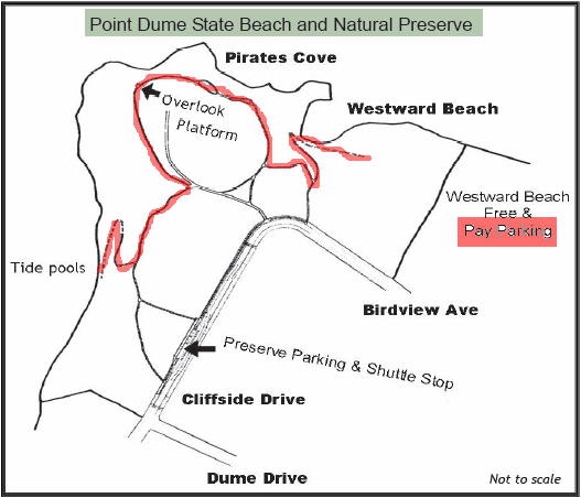 Point Dume (Dume Cove) Tide Pools - September 2010