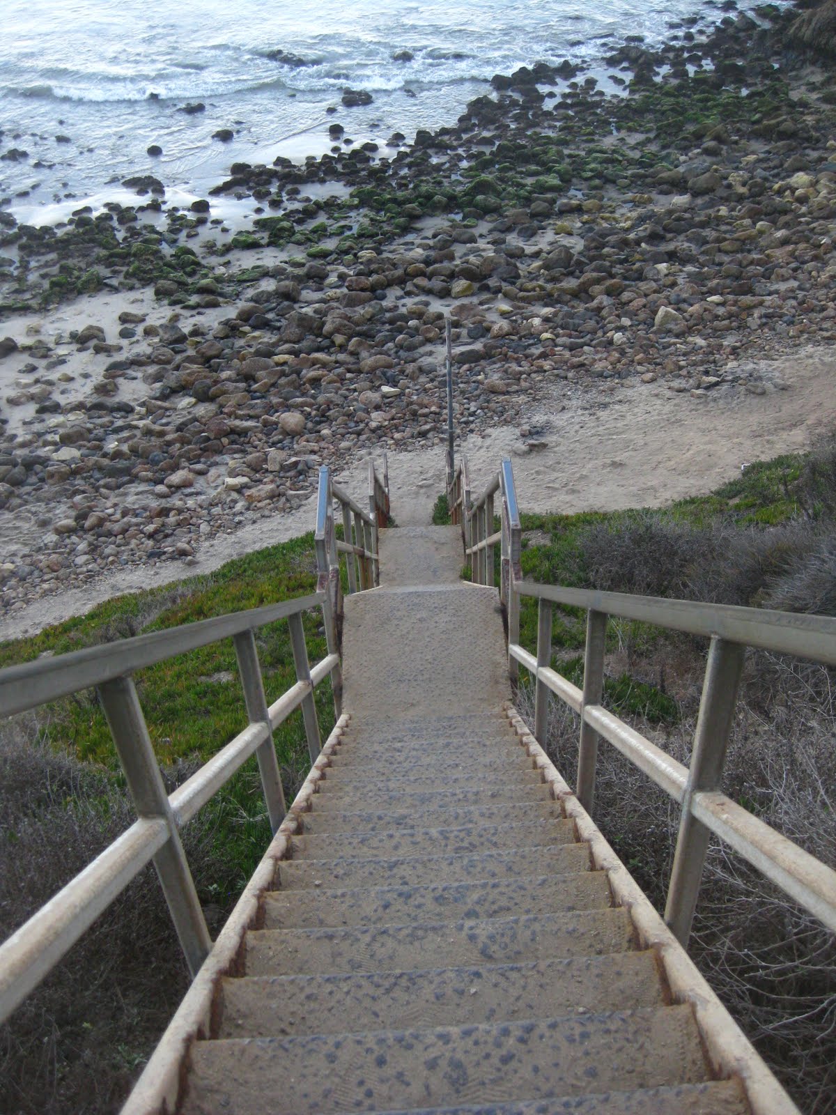 Point Dume (Dume Cove) Tide Pools - September 2010