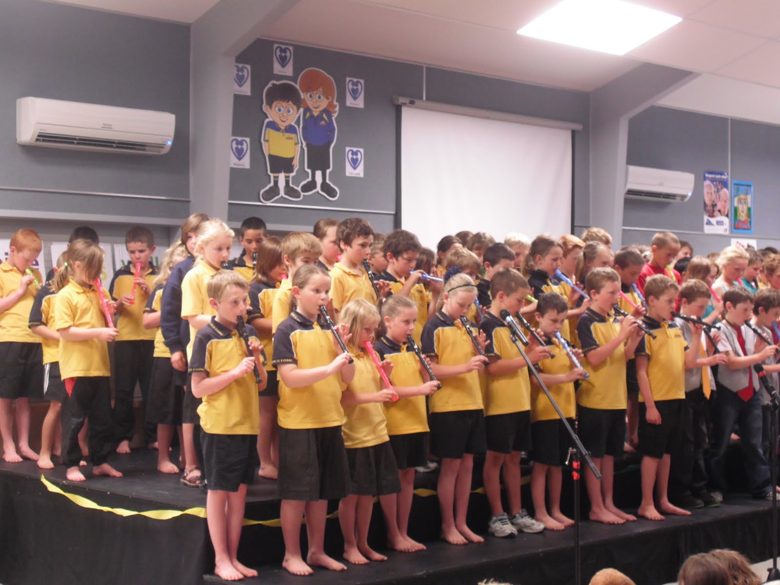 Room 10 - Bluestone School: November 2010