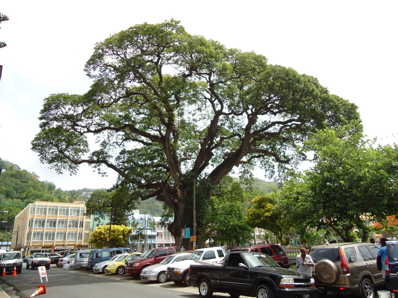 My visit to St Lucia: The main church of Castries