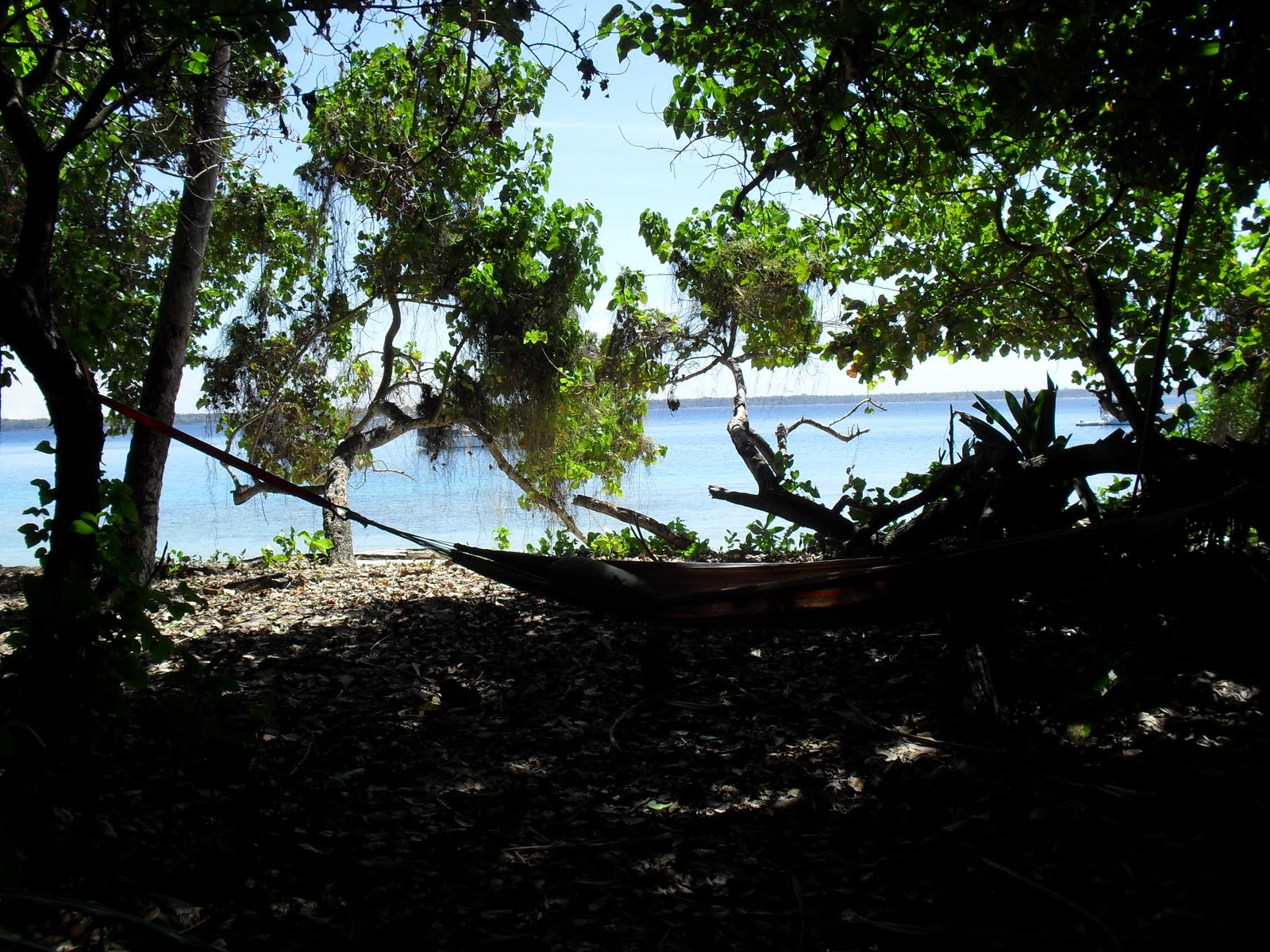 Spinning tales from the Web: Hansa bay