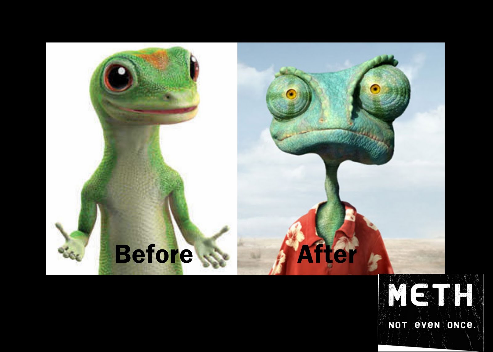 Geico Gecko Quotes. QuotesGram