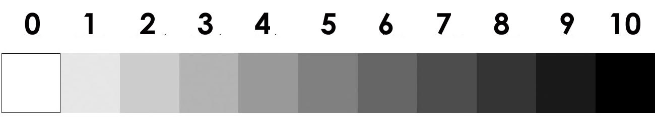 DIBUJO NATURAL I y II UNIDEM: octubre 2010