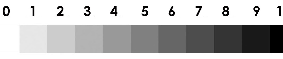 DIBUJO NATURAL I y II UNIDEM: ASIGNACIÓN 9. ESCALA DE VALORES TONALES