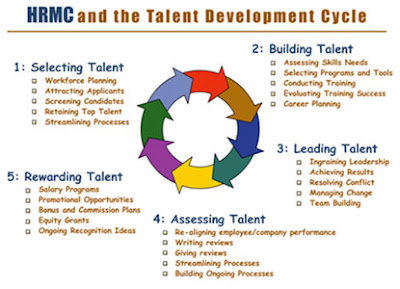 Governance Focus: The HRMC talent development cycle