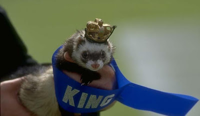 Breathe: Dance of the Ferret King