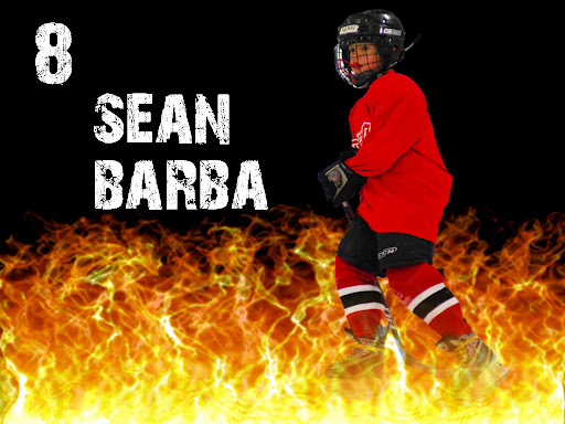 York Red Mites: 2009-10 Roster
