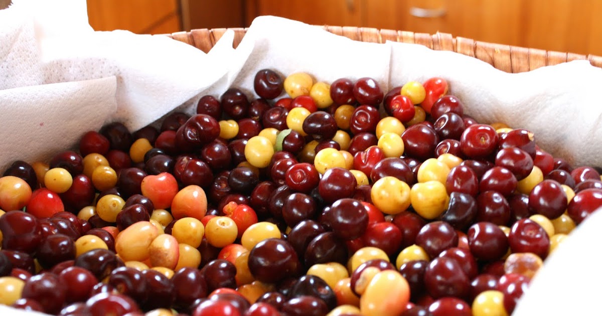 Cherry season in southern California