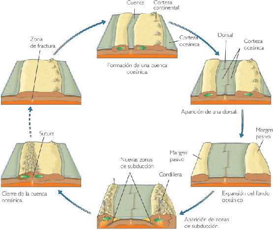 asi es la vida...: Ciclo de Wilson