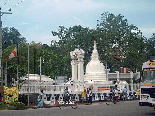 Nature of Life: THE PIGEON ISLAND( PARAVI DOOVA)