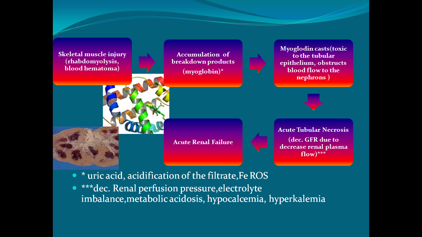 Science, Medicine,Nature and Troubleshootings: What is Acute Renal Failure?