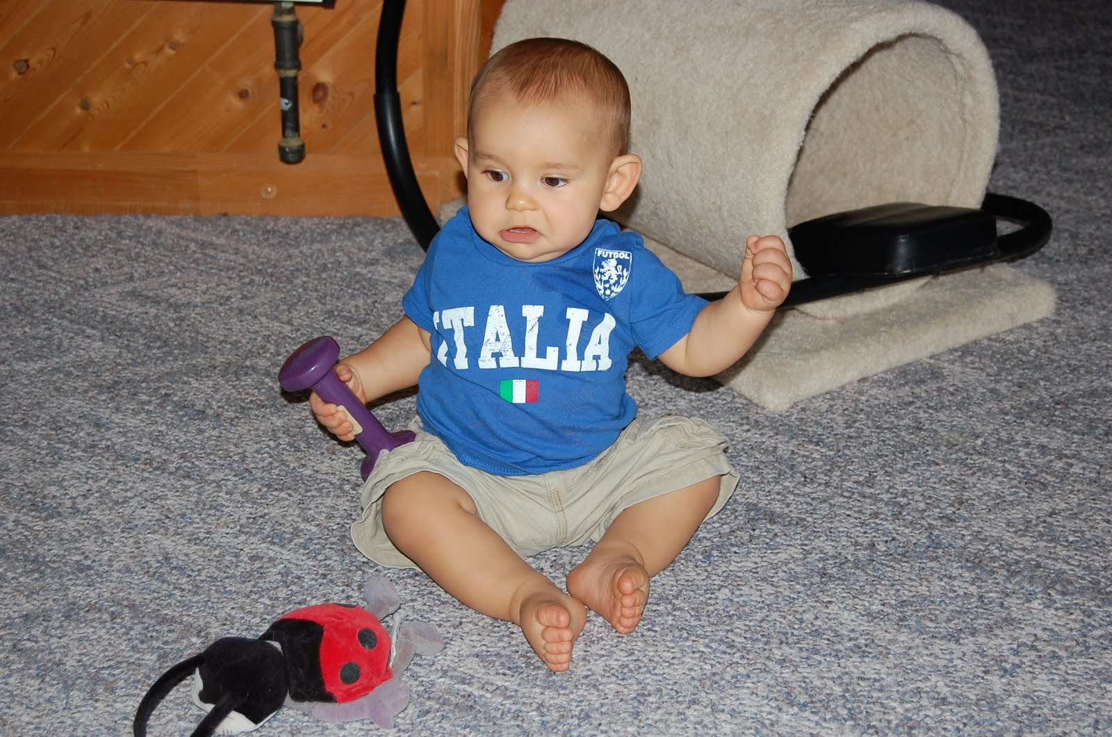 The Quandary Awaits: July 2010