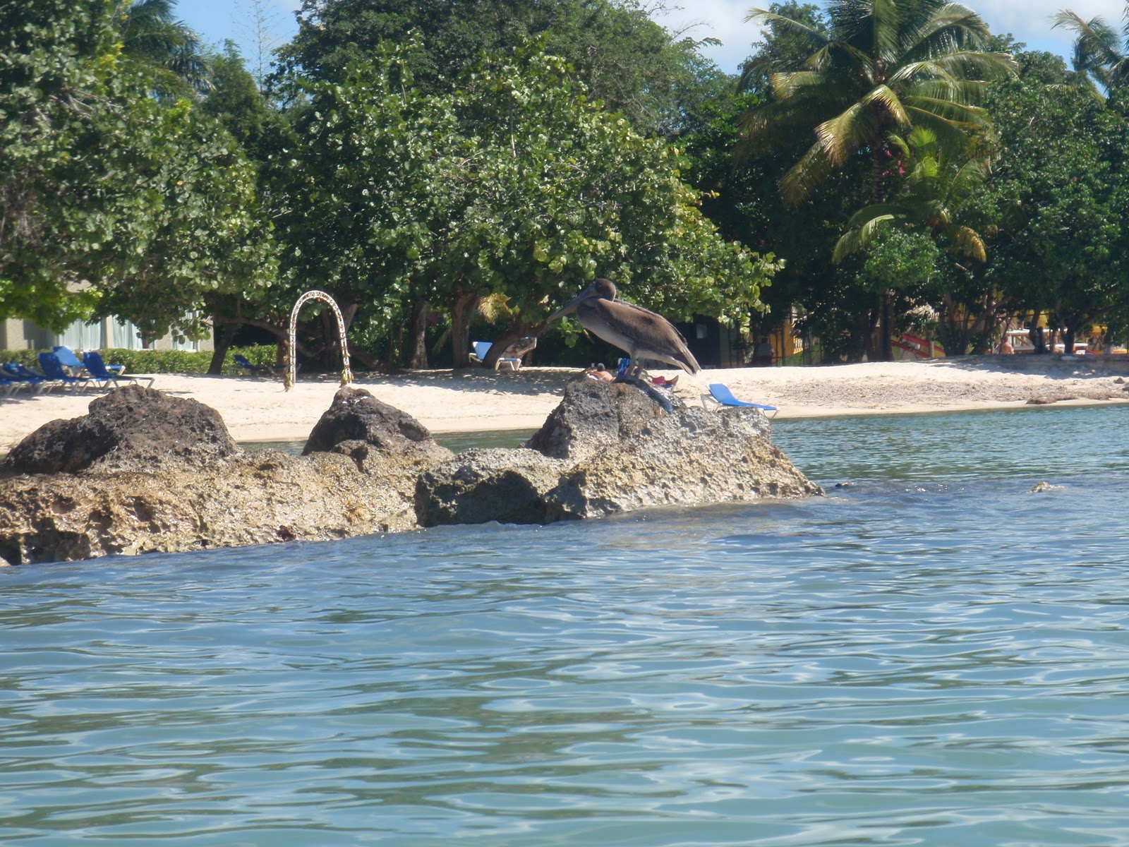 What is Thalassotherapy?