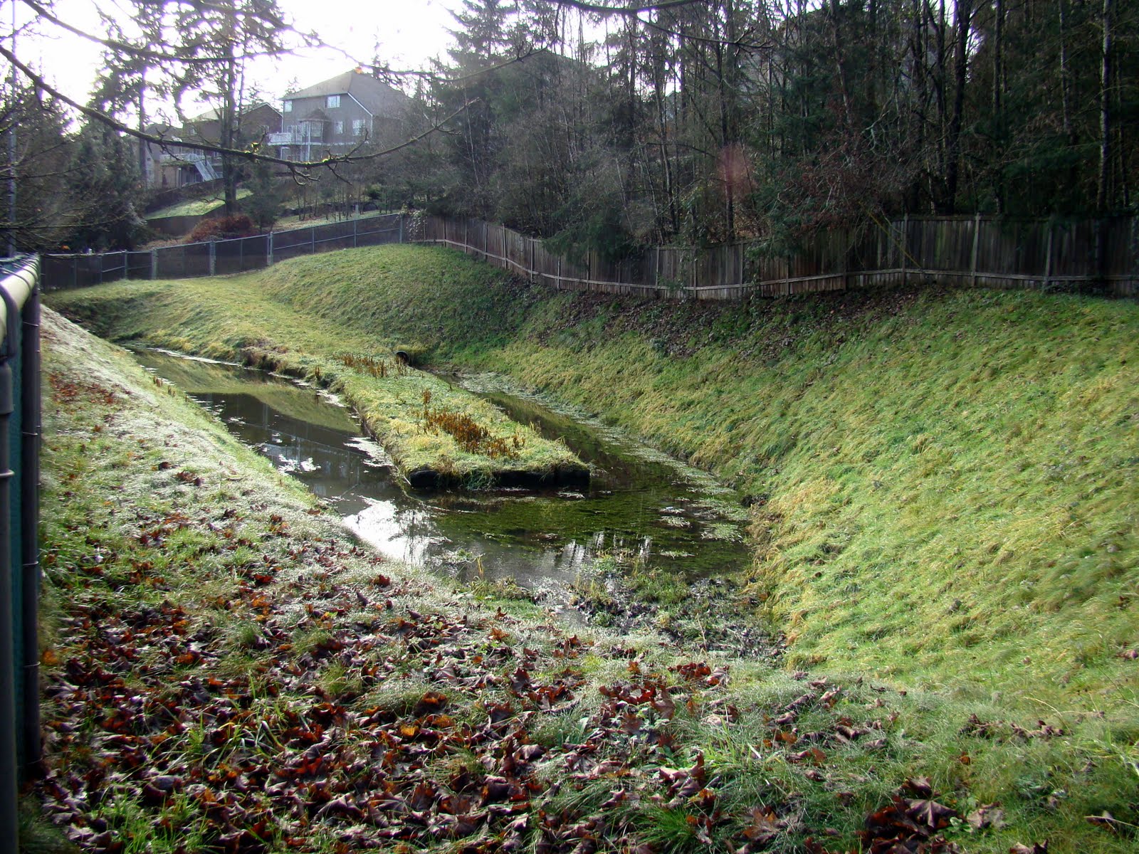 Redmond Neighborhood Blog: Maintenance To Avondale Bio-swale Improves ...