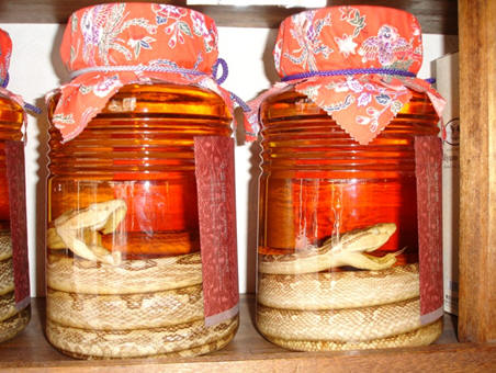 And I Think to Myself...What A Wonderful World.: "They Actually Eat ...