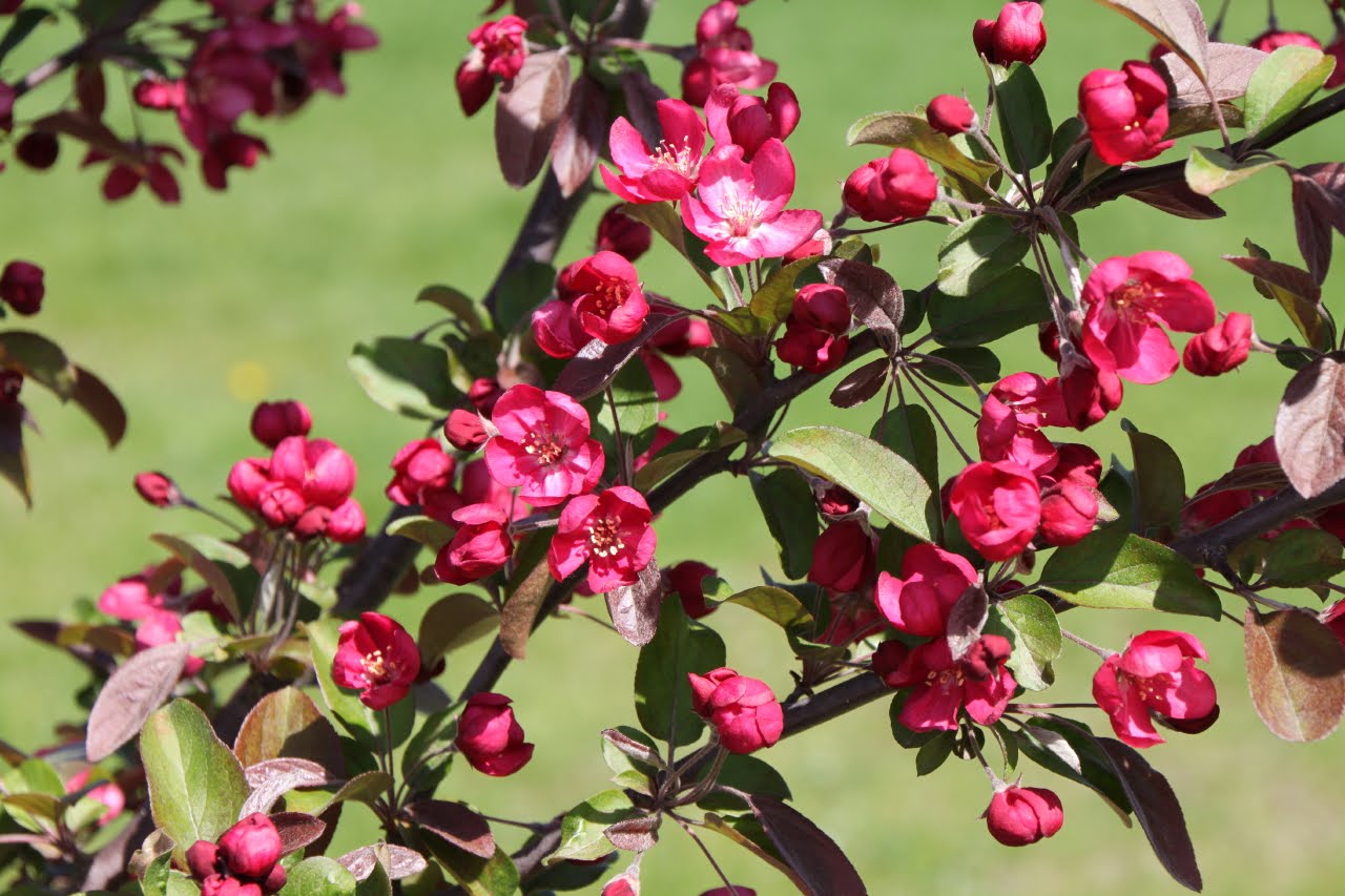 FrameBoston: ウェイサイド・インで昼食（Lunch at Historic Wayside Inn）
