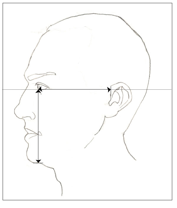Paint Draw Paint, with Ross Bowns: Drawing Basics: Structure and ...