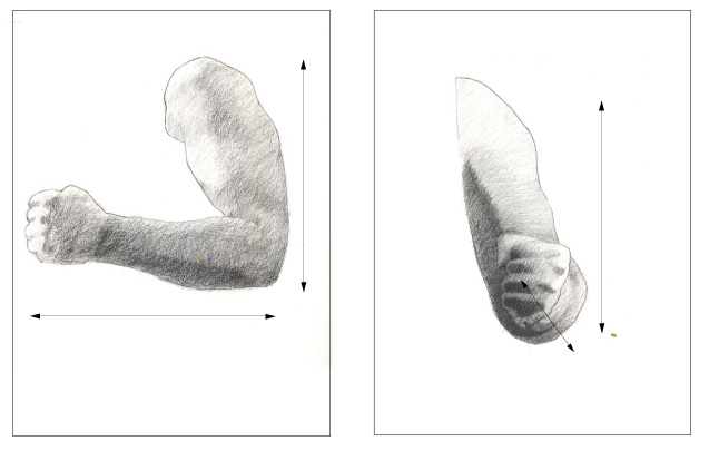 Paint Draw Paint, with Ross Bowns: Drawing Basics: Foreshortening Form