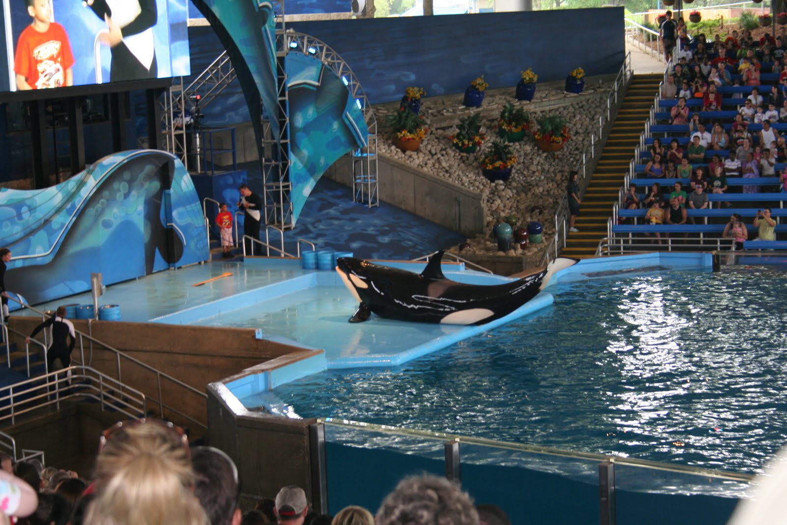 The Ludlow Family: Easter with Shamu!!!