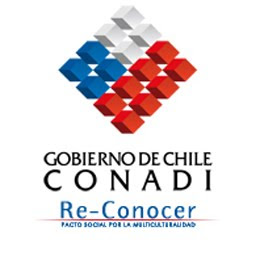 Así Surgen...: DECLARACIÓN PÚBLICA CONADI