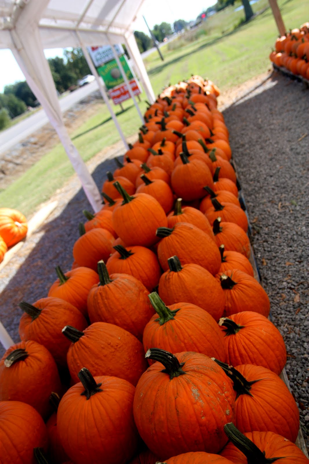 Very Virginia: Decker Family Field Trip