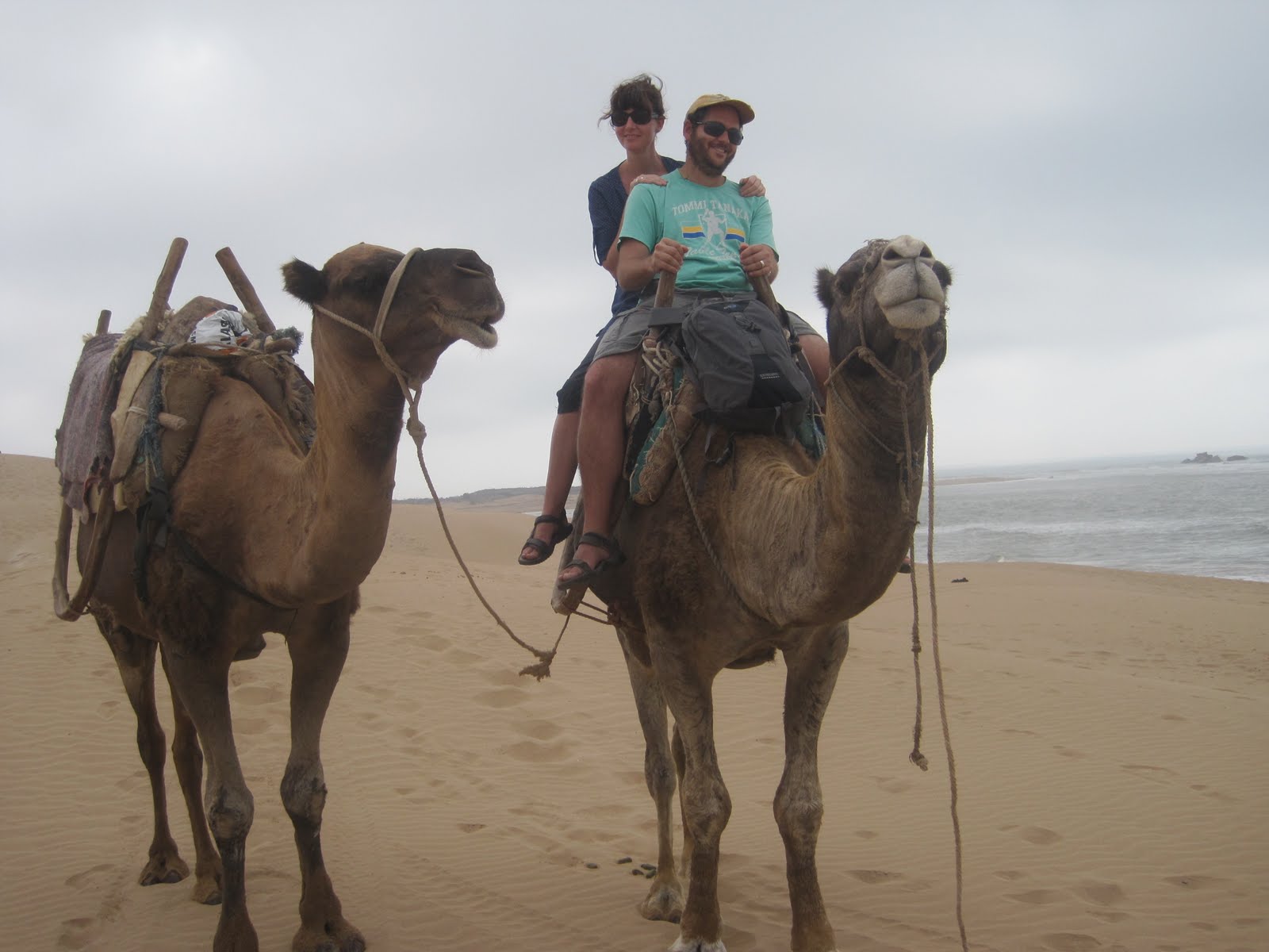 Larry and Larna's BEEG Adventure: Camel ride on the beach at Essaouira...