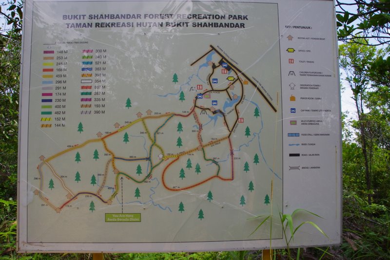 It's the Norm: More Walking - Bukit Shahbandar