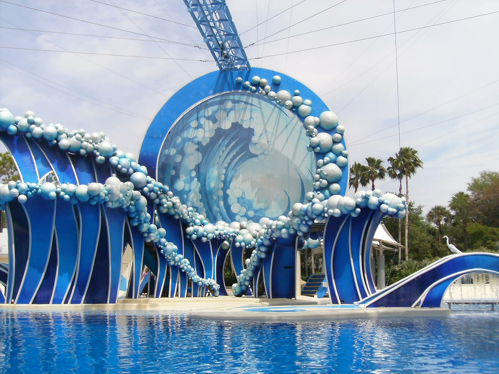 Williams Family: SeaWorld's Blue Horizons!