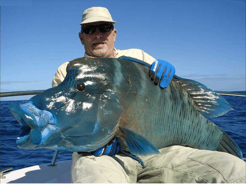 Kayakero: LE POISSON BANANE