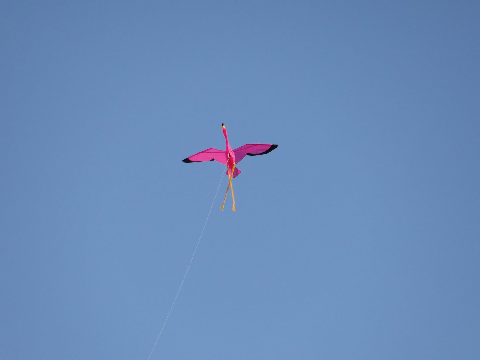 My life with the critters: Yesterday was a very nice day....