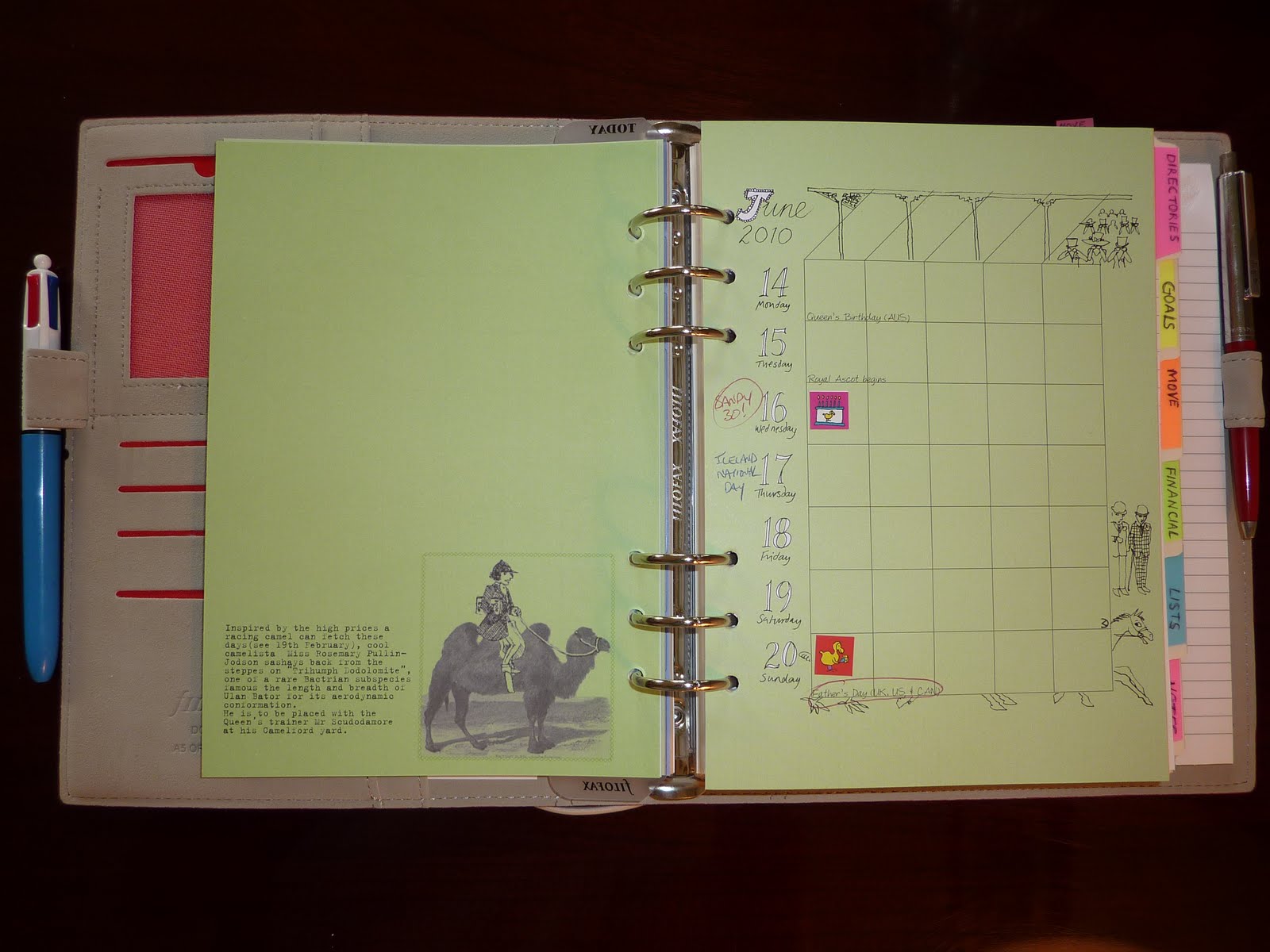 Philofaxy: My new A5 Domino Filofax with Dodo Pad diary insert!
