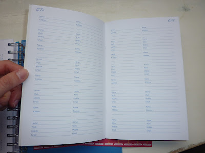 Plannerisms: 2011 Life Book Diary