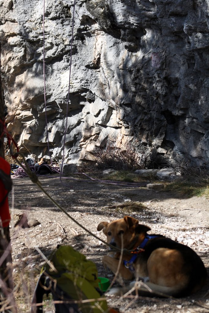 L'APPIGLIO SFUGGENTE: La ralla...