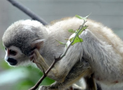 Colofón: Conciencia, la clave en el Día de la Tierra