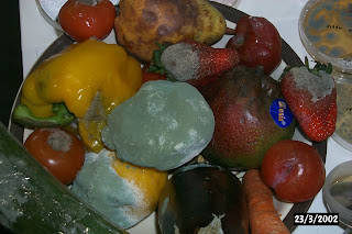 Passions: Food Gone Bad?