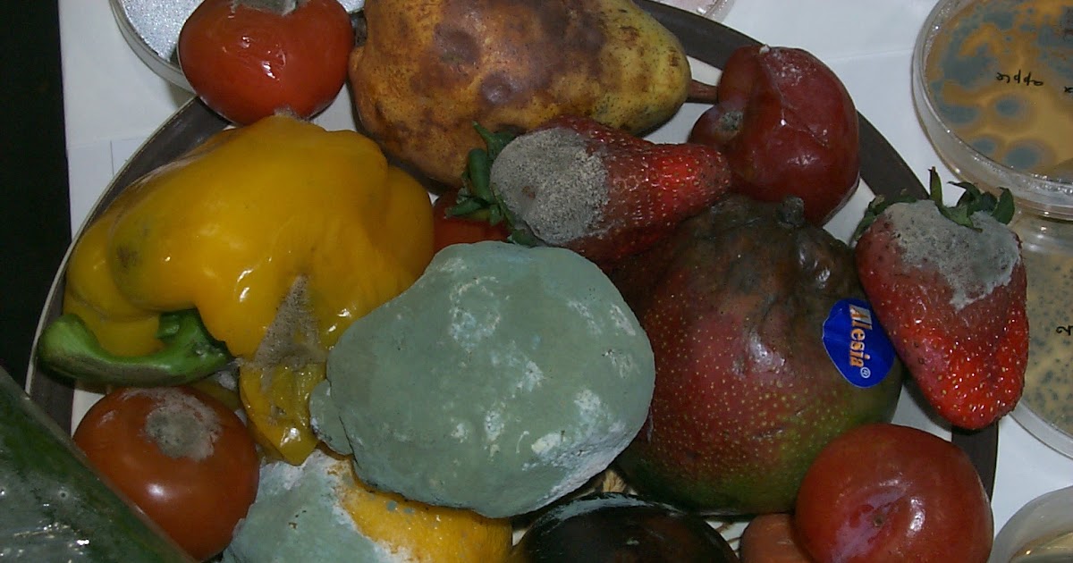 Passions: Food Gone Bad?