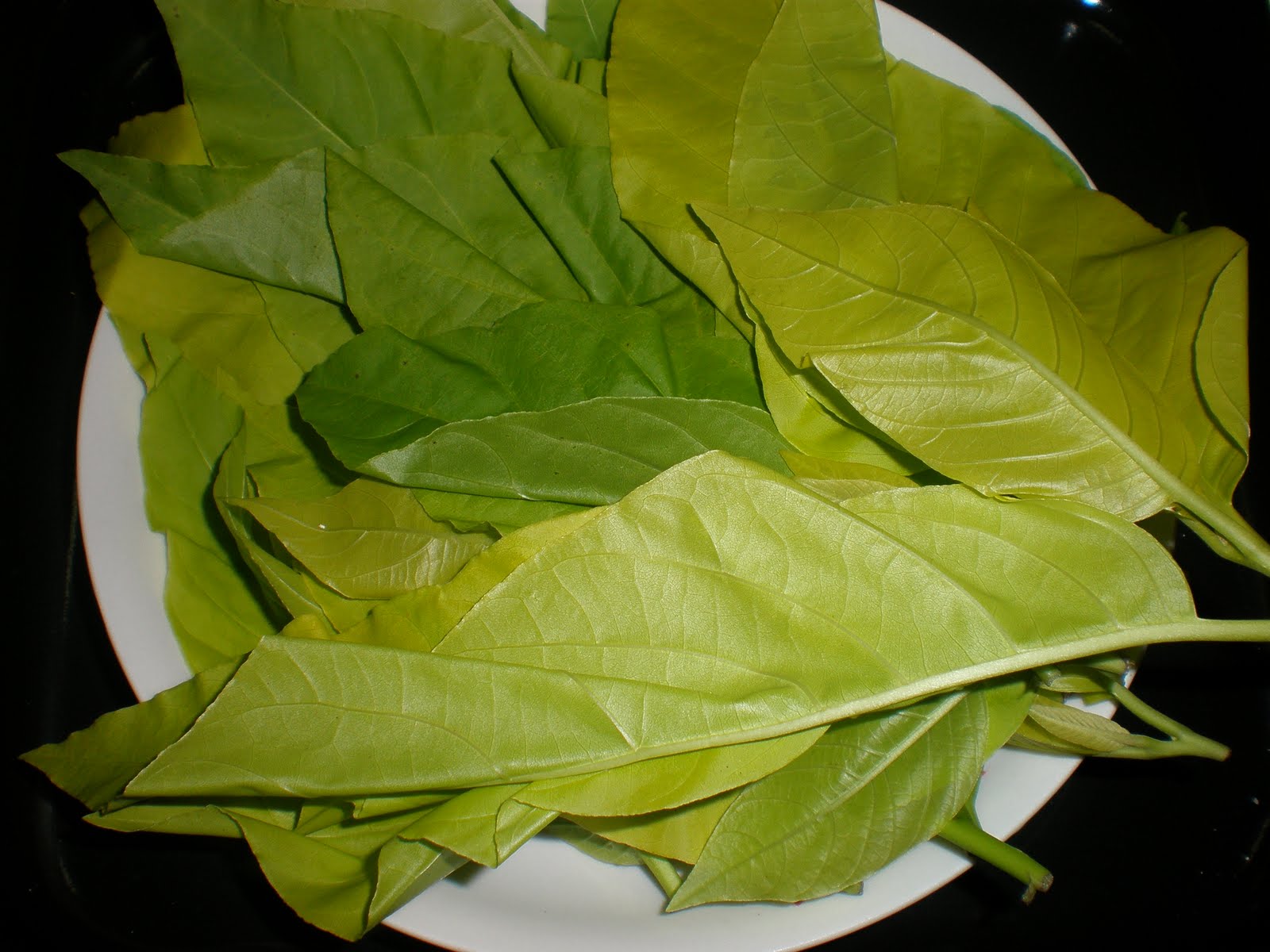 " MyLiFe,MySoul & MyEveryThiNgs ": "Mengkudu Siam Masak Lemak Cili Api"