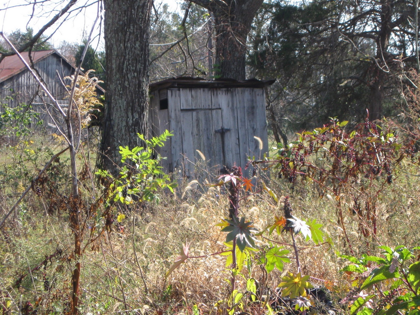 FOLKWAYS NOTEBOOK: OUTHOUSES -- A THING OF THE PAST?