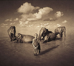MilaneseGAL: Gregory Colbert