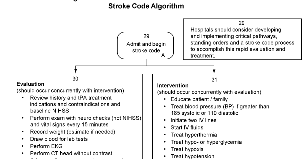 International University: Stroke Algorithm