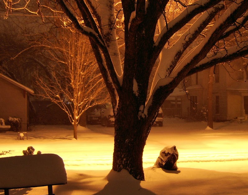 Terrell Daily Photo: Snow kidding