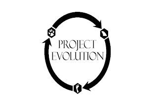 Project Evolution Films