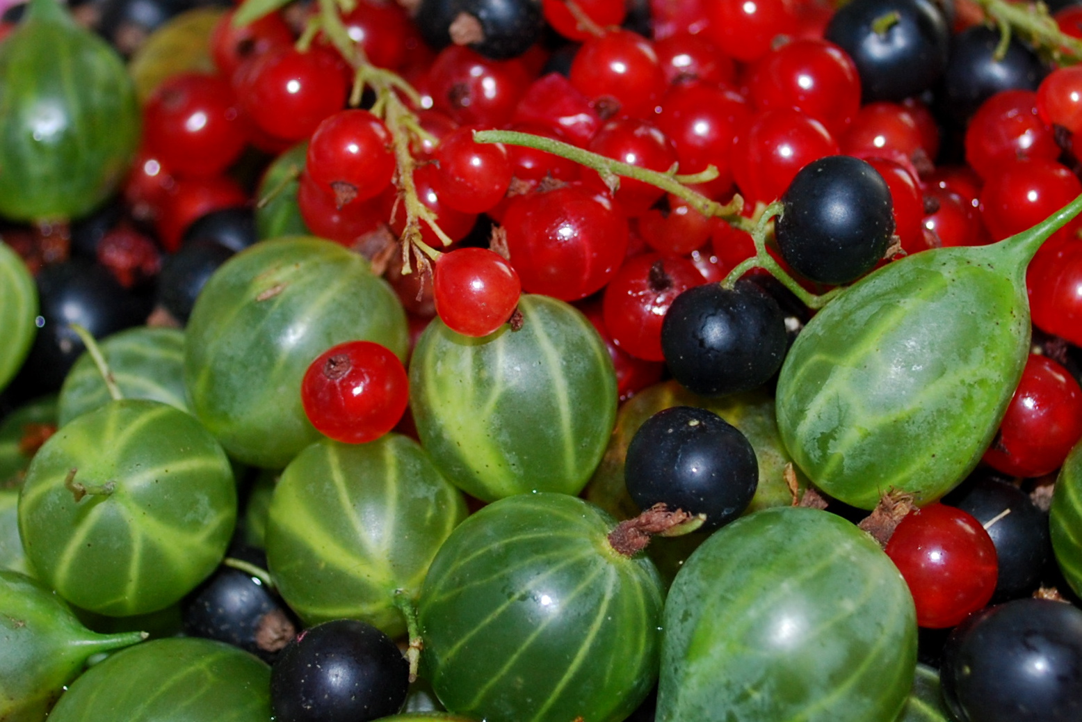 The Wandering Bean: The Great Big Blog of Russian Food