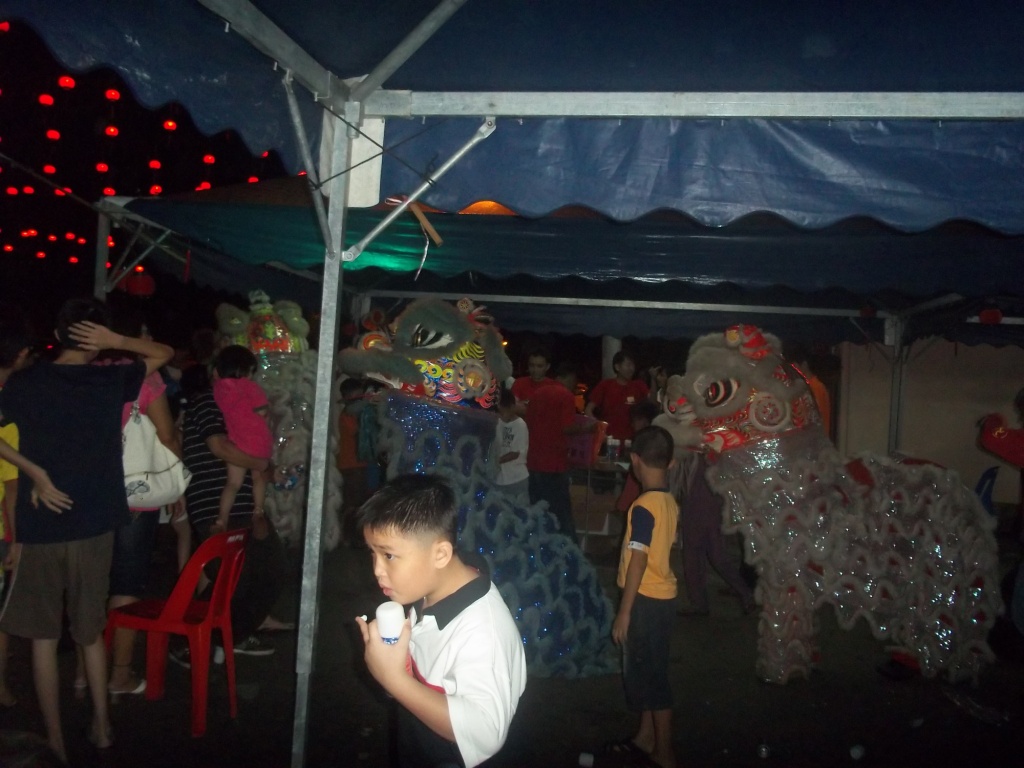 NOOR FATIN: PESTA TANGLONG DAN BUNGA API DI BANDAR CHUKAI MALAM TAHUN ...