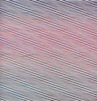 G.Edwards: Designer Analysis - Riley Bridget