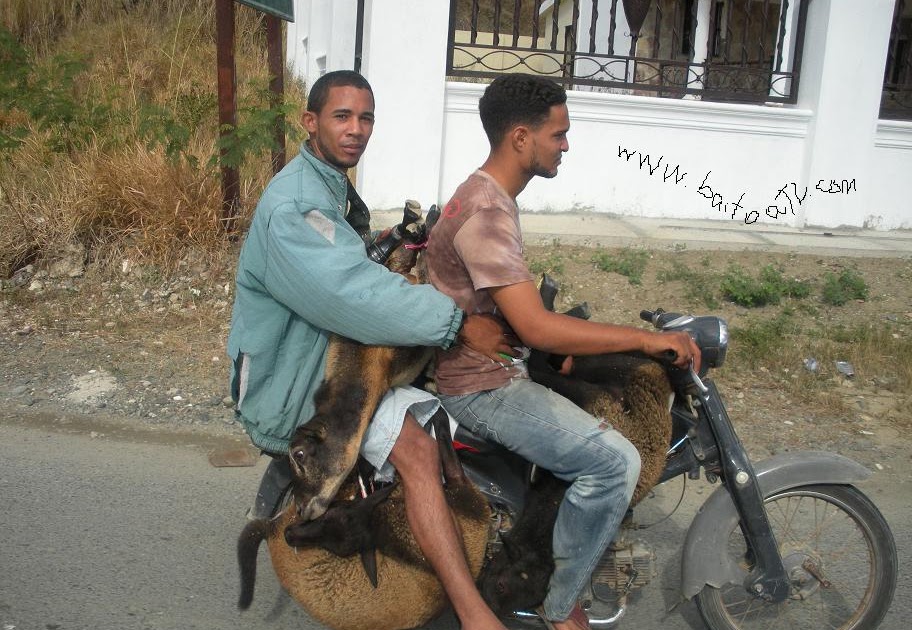 LA VOZ OFICIAL DE BAITOA EN EL MUNDO.: ONLY EN BAITOA.