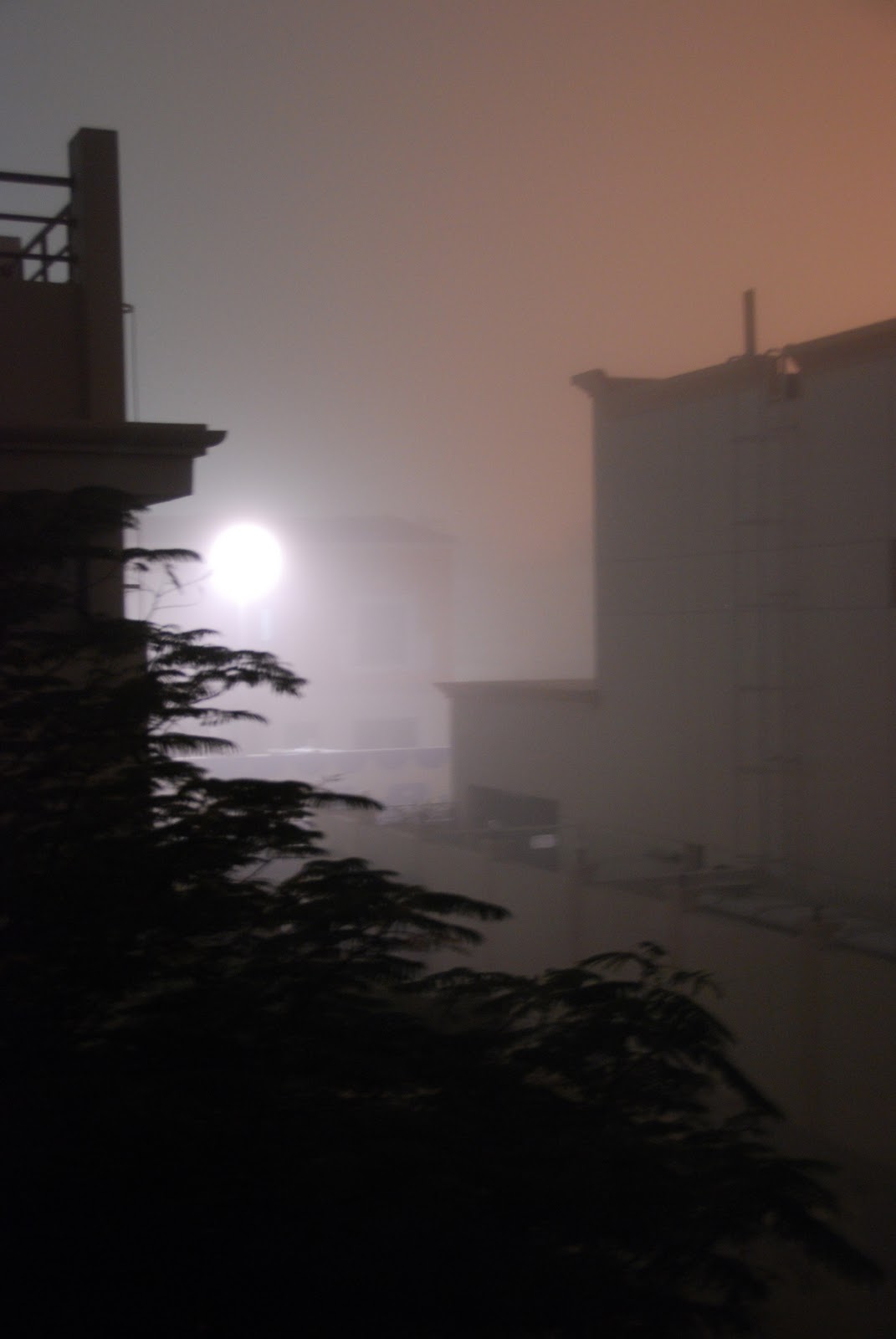 Meanwhile, back in The Sandpit...: The fog arrives from Abu Dhabi