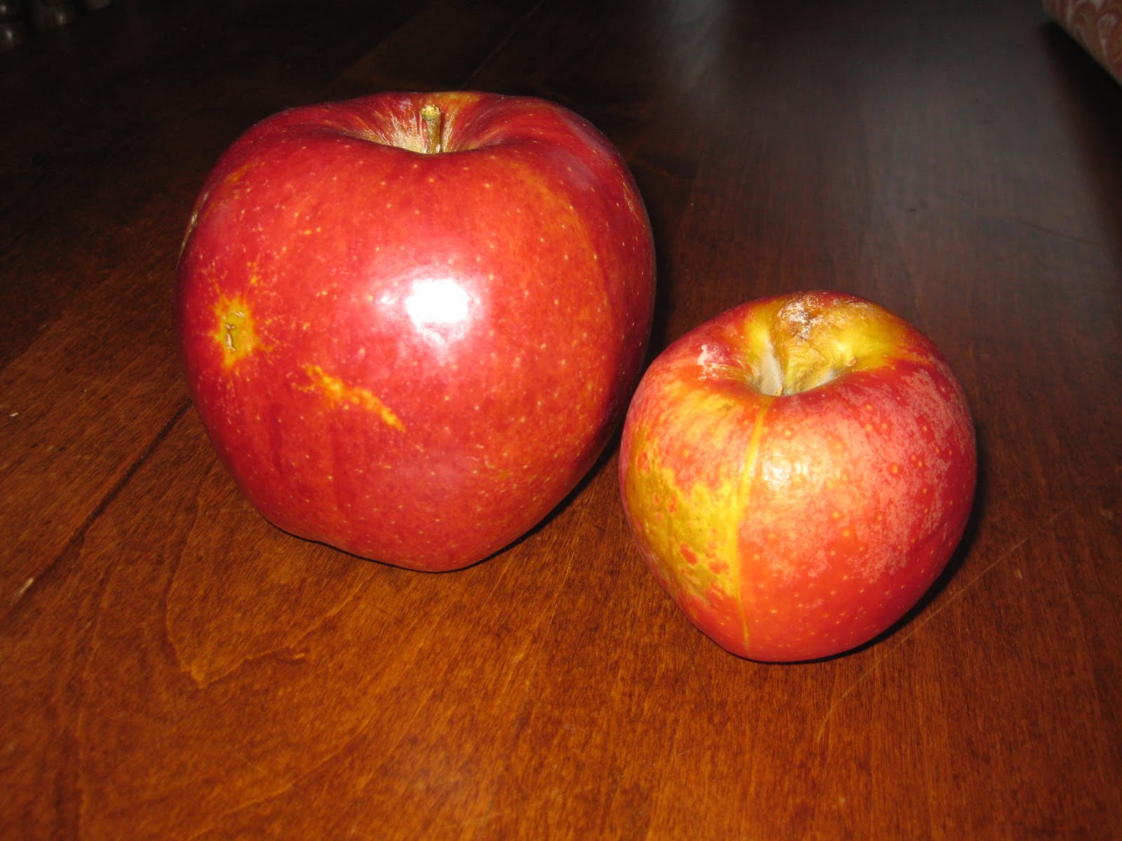 fromms: Teachers Love Apples!